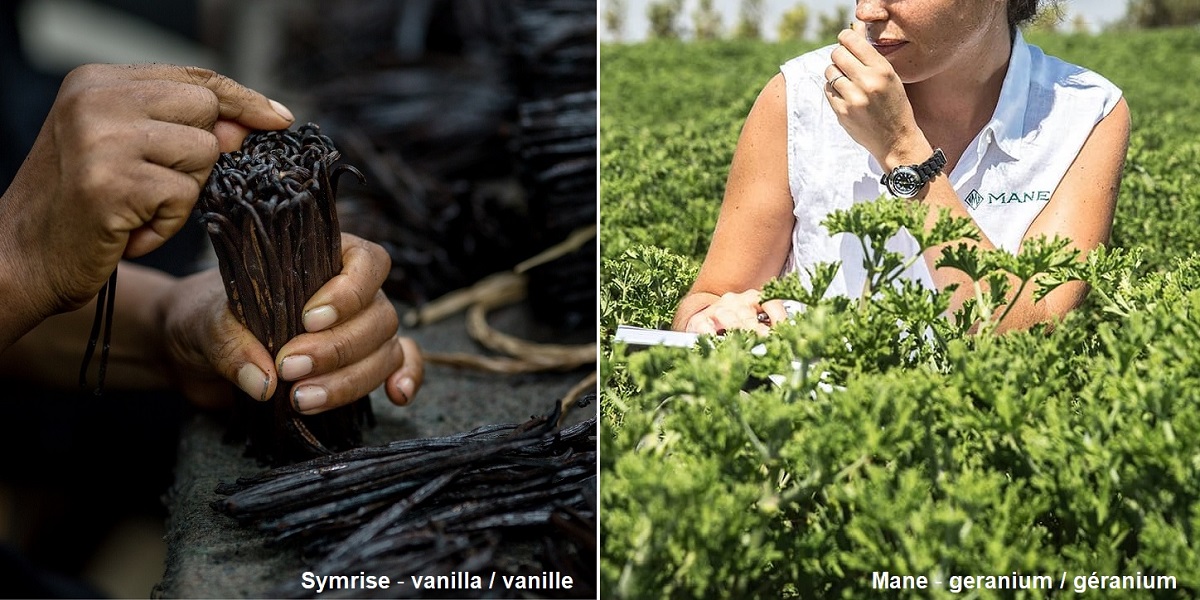 Inspiration: Madagascar, the perfume island / l’île aux parfums ...